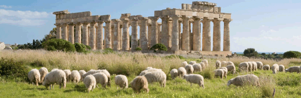 Feta: Τhe Ancient Greek Roots of the Greek Cheese