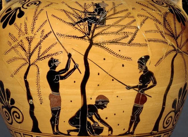 What did the Spartans eat and were the best warriors in the world?