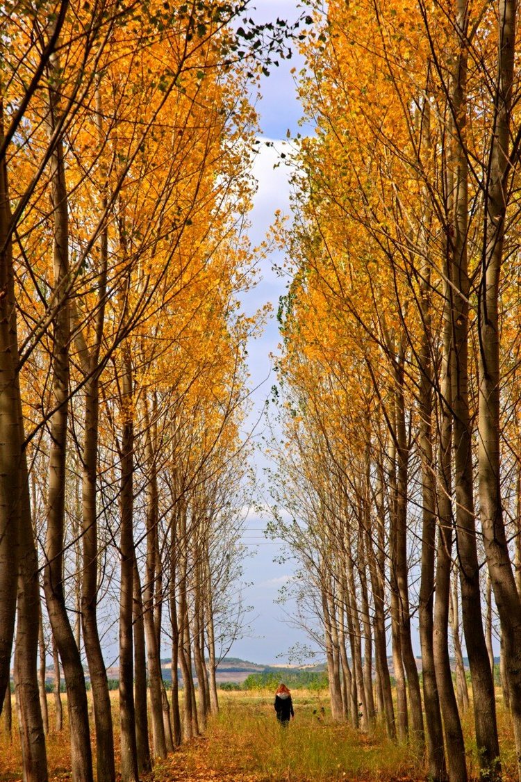 The most impressive places in autumn in Greece in 32 pictures that enchant