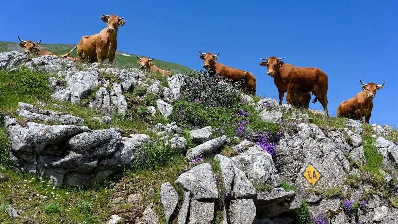 The Greek region too remote for maps