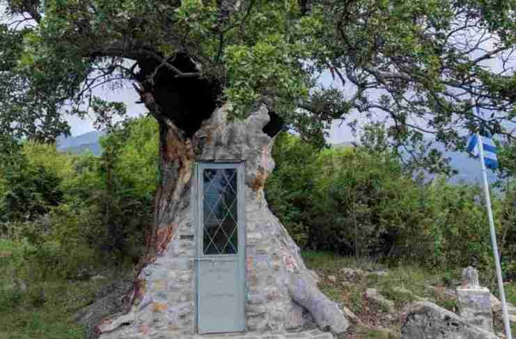 The Tiny Chapel Built Inside a 300-Year-Old Tree in Konitsa, Greece