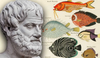 Greek Contributions to Zoology and Botany