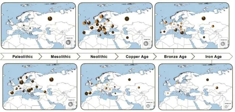 The Evolution of Skin Color in Greece and Europe