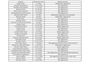 15 Shark Attacks in Greece: Should You Fear the Greek Waters?