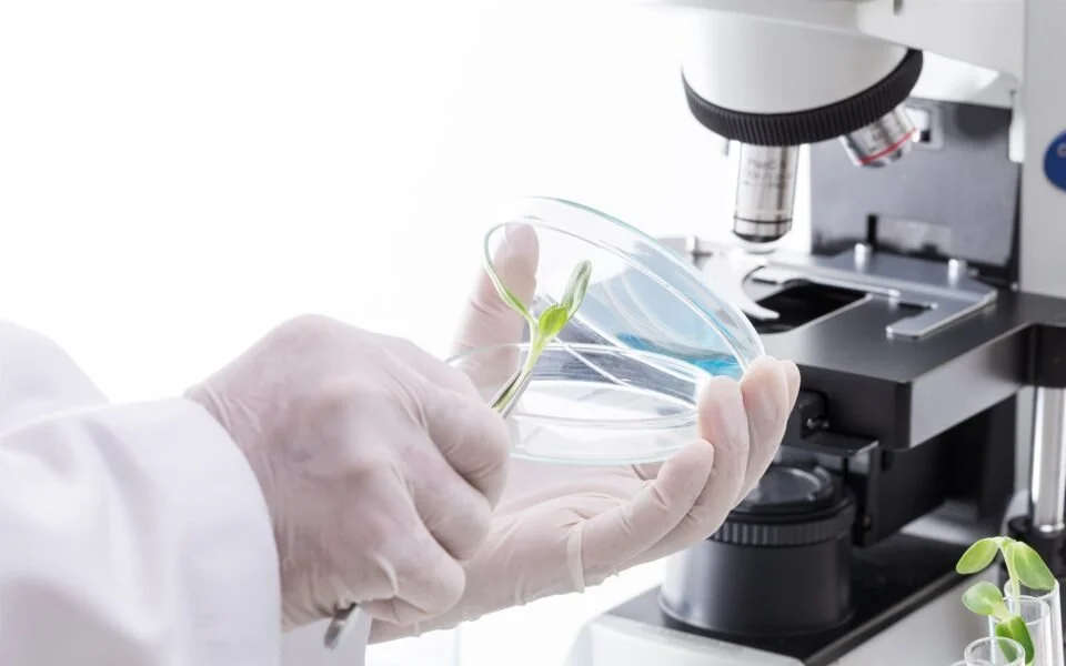 Gastroenteritis outbreak on Gavdos island caused by norovirus, lab test ...