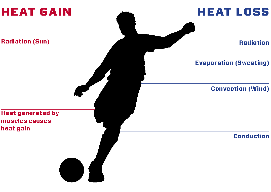 Nutrition & Hydration — Recognize to Recover