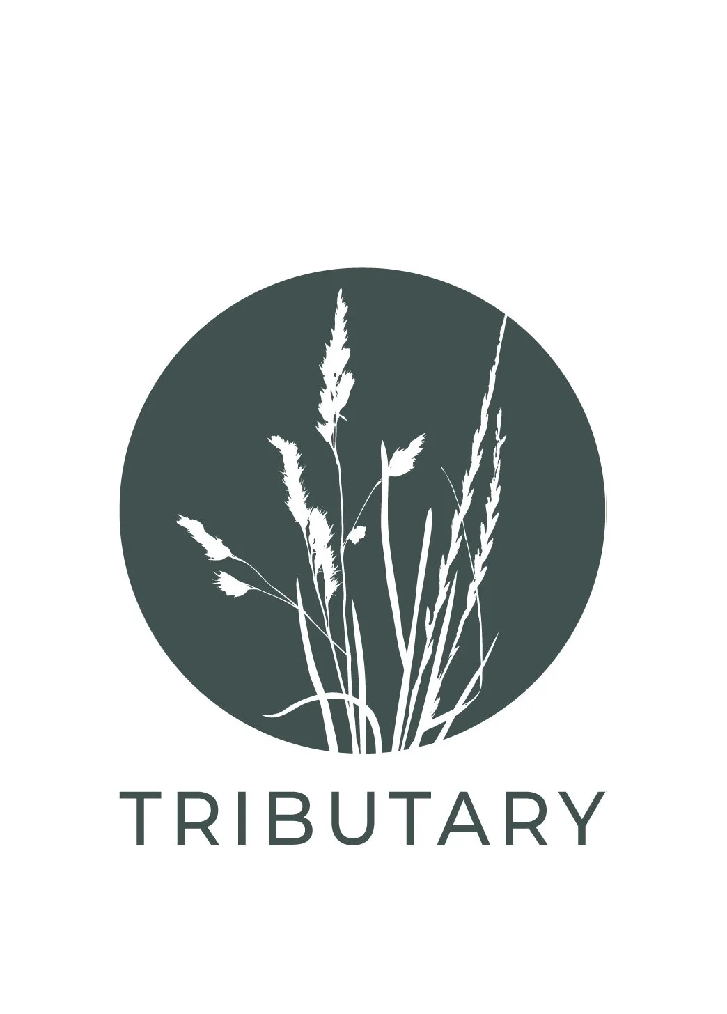 McAlister Construction