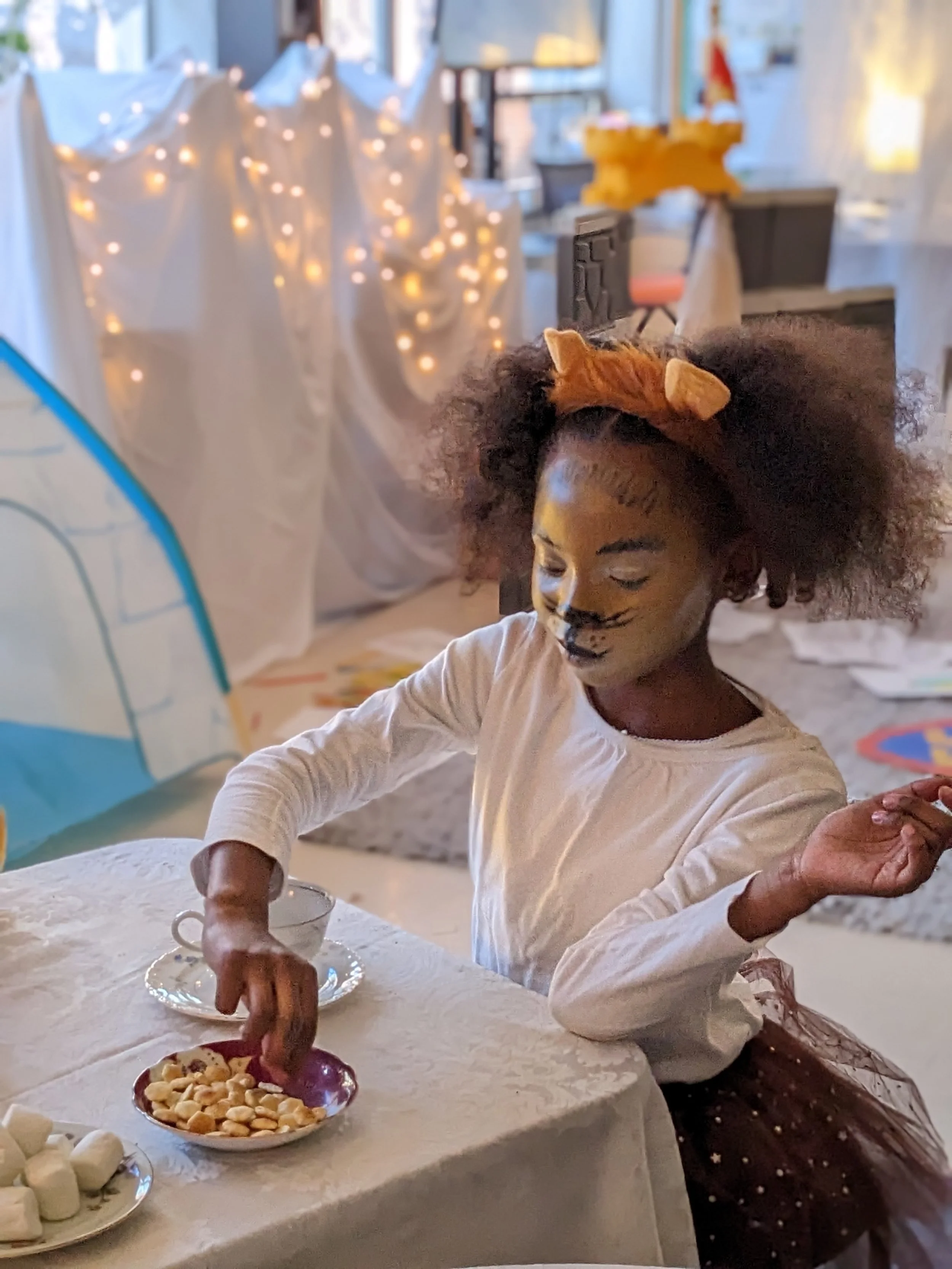 The Transformative Power of Imagination — Cambridge School