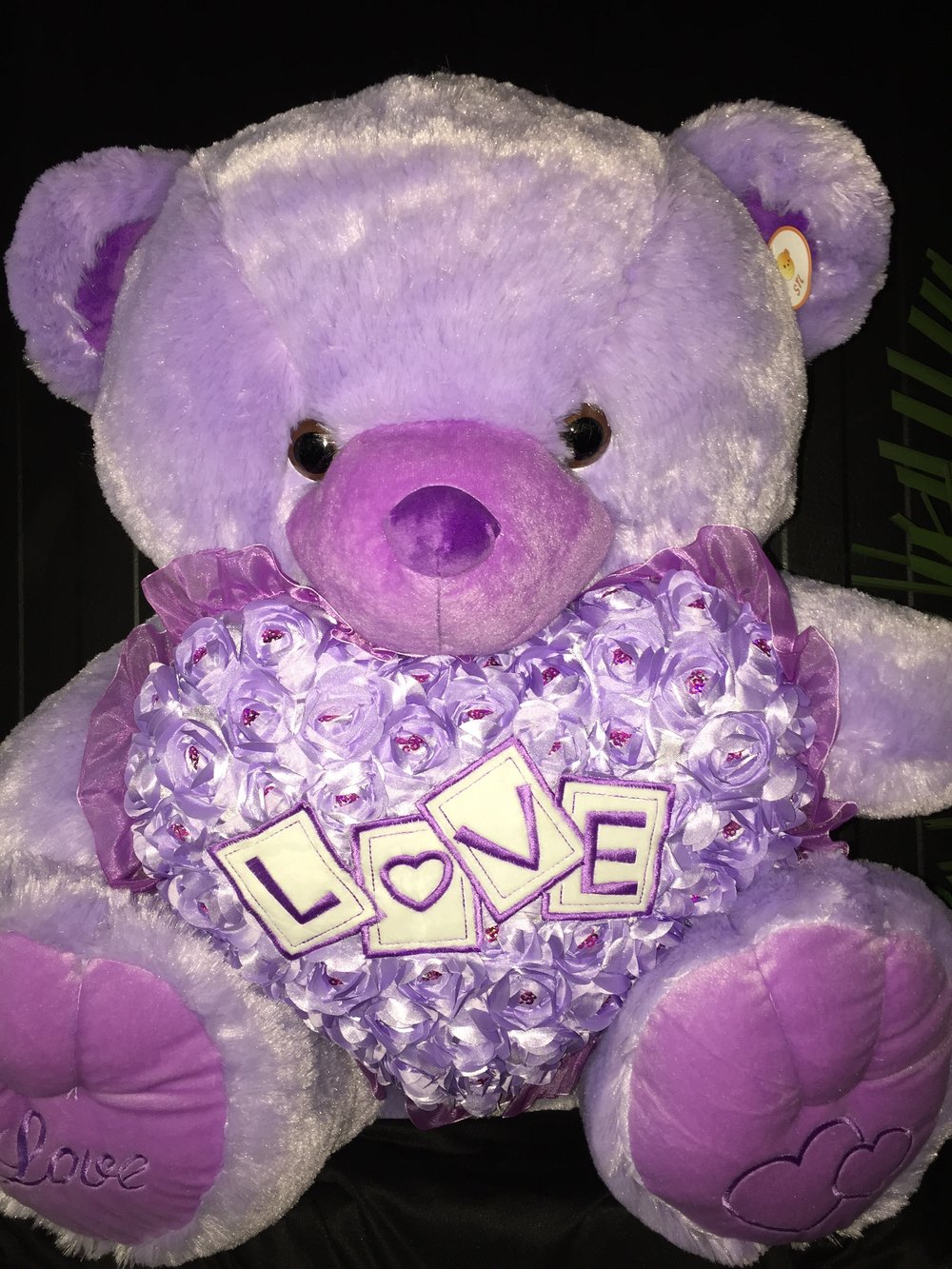 Purple Teddy Bear Images