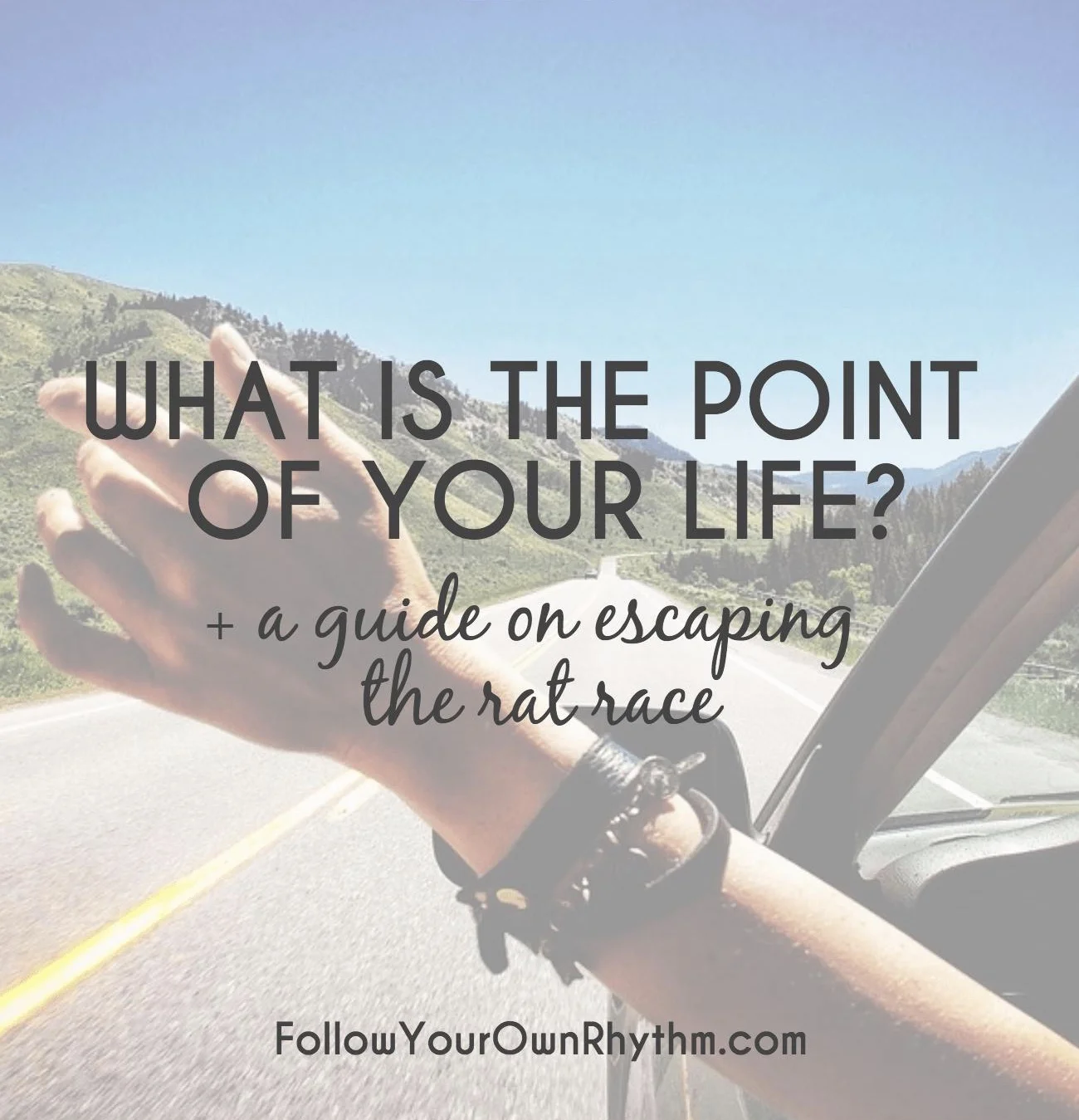 What is the Point of your Life? — Follow Your Own Rhythm