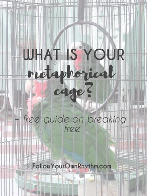 What is Your Metaphorical Cage? + free guide on breaking free — Follow ...