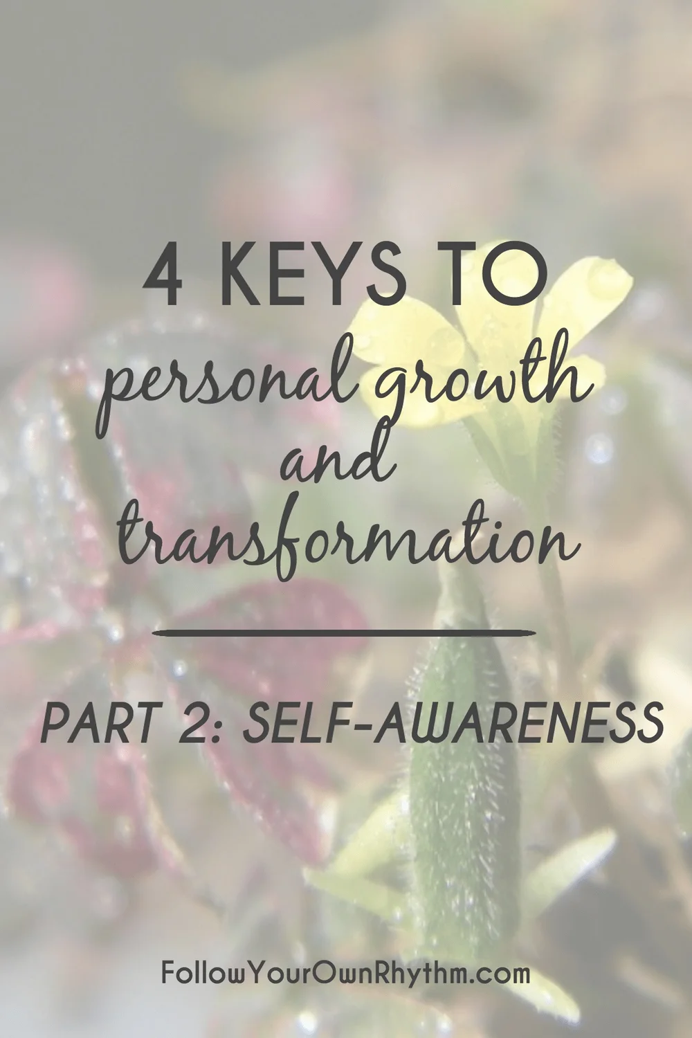 4 Keys to Personal Growth and Transformation - Part 2: Self-Awareness ...
