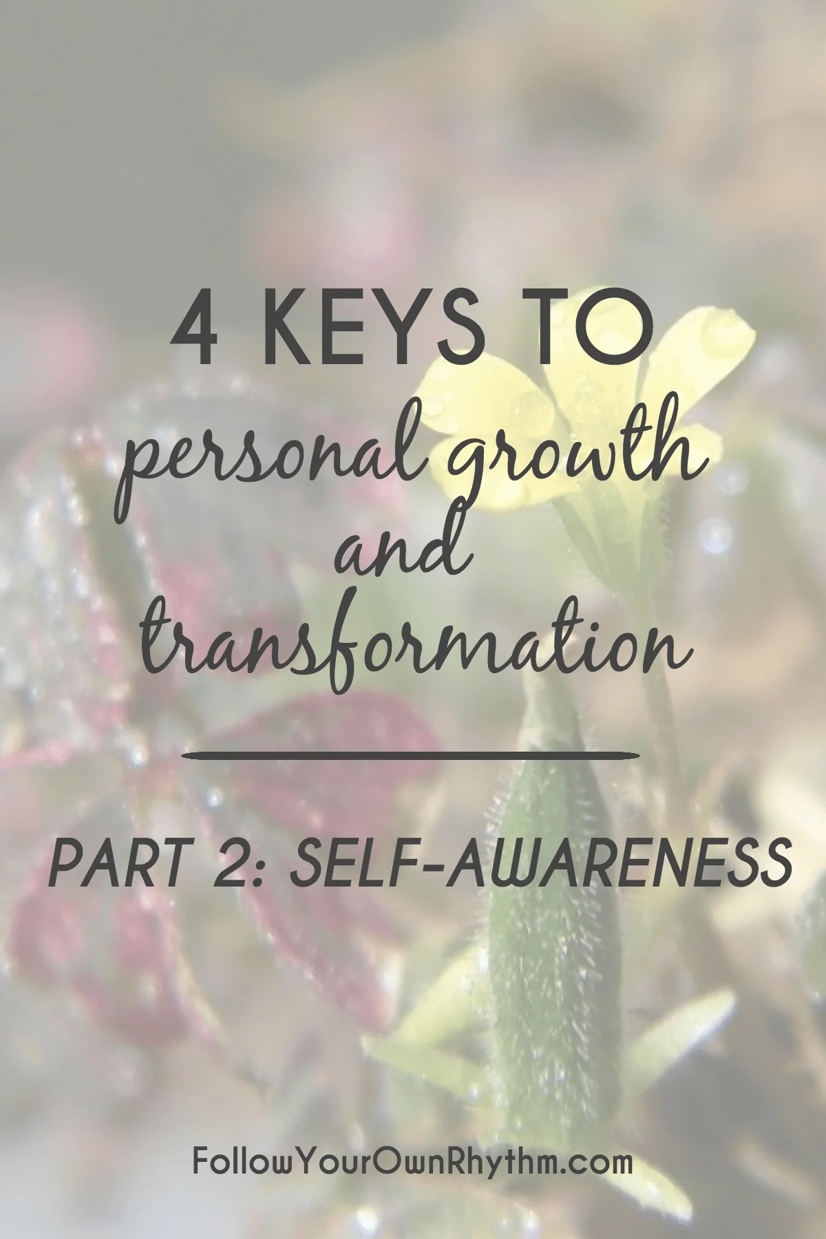 4 Keys to Personal Growth and Transformation - Part 4: Implementation ...