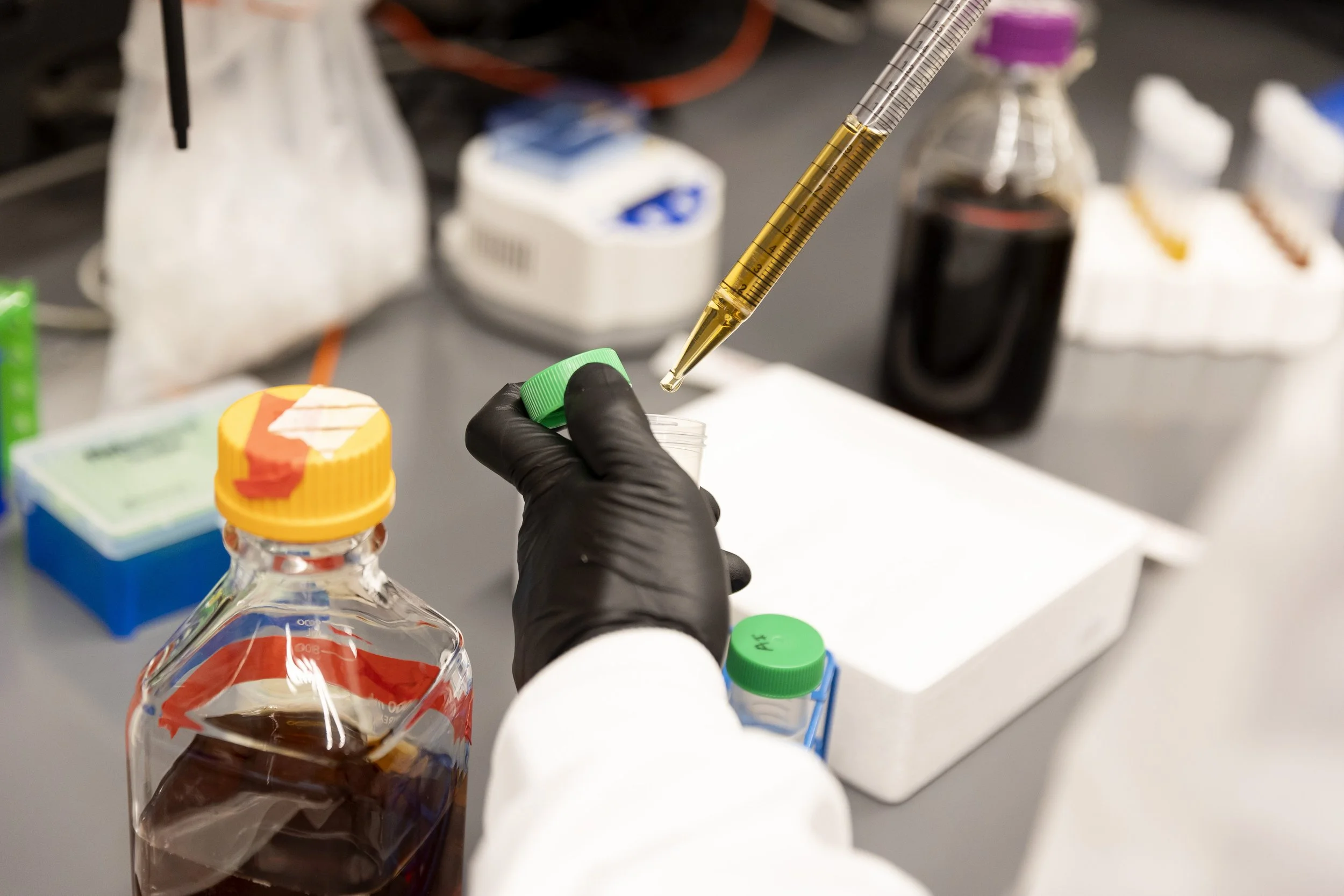 QWEST Internships | QB3