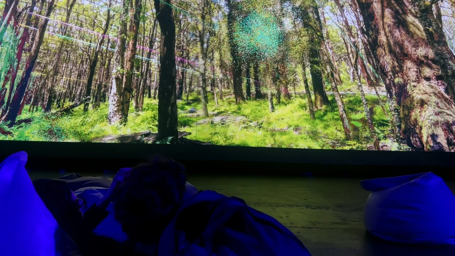Creatures of Australia - Hear the Wild — Brendan Cook
