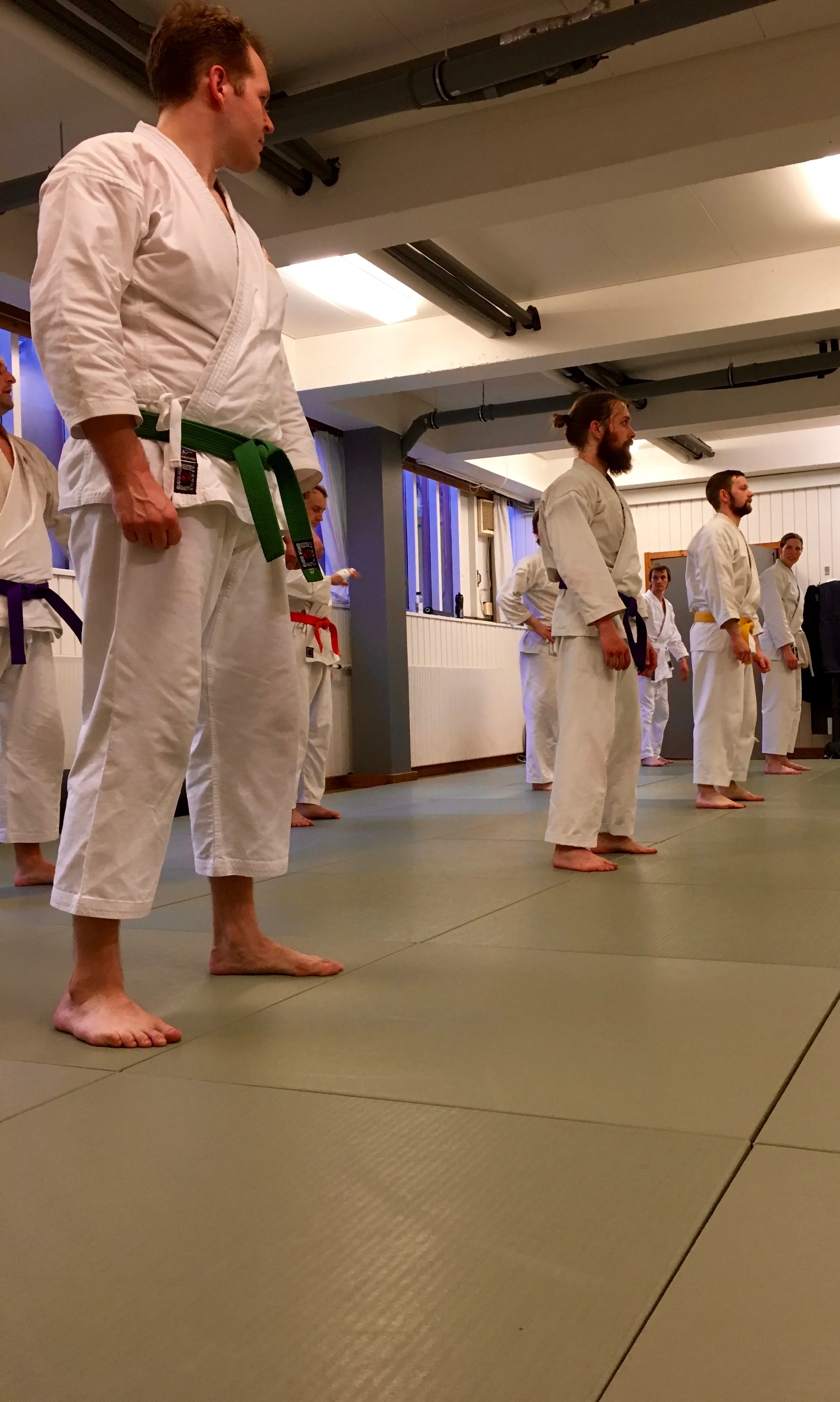 Koryu Uchinadi Kenpo Jutsu Denmark