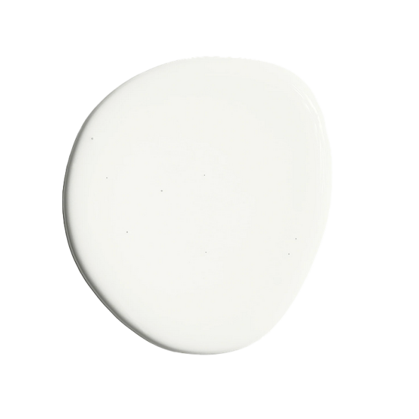 ECoat Bright PVA — Promac Paints