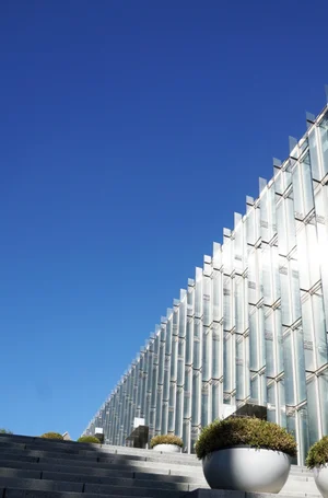 TWO SOULS OF SEOUL — VINN STORE