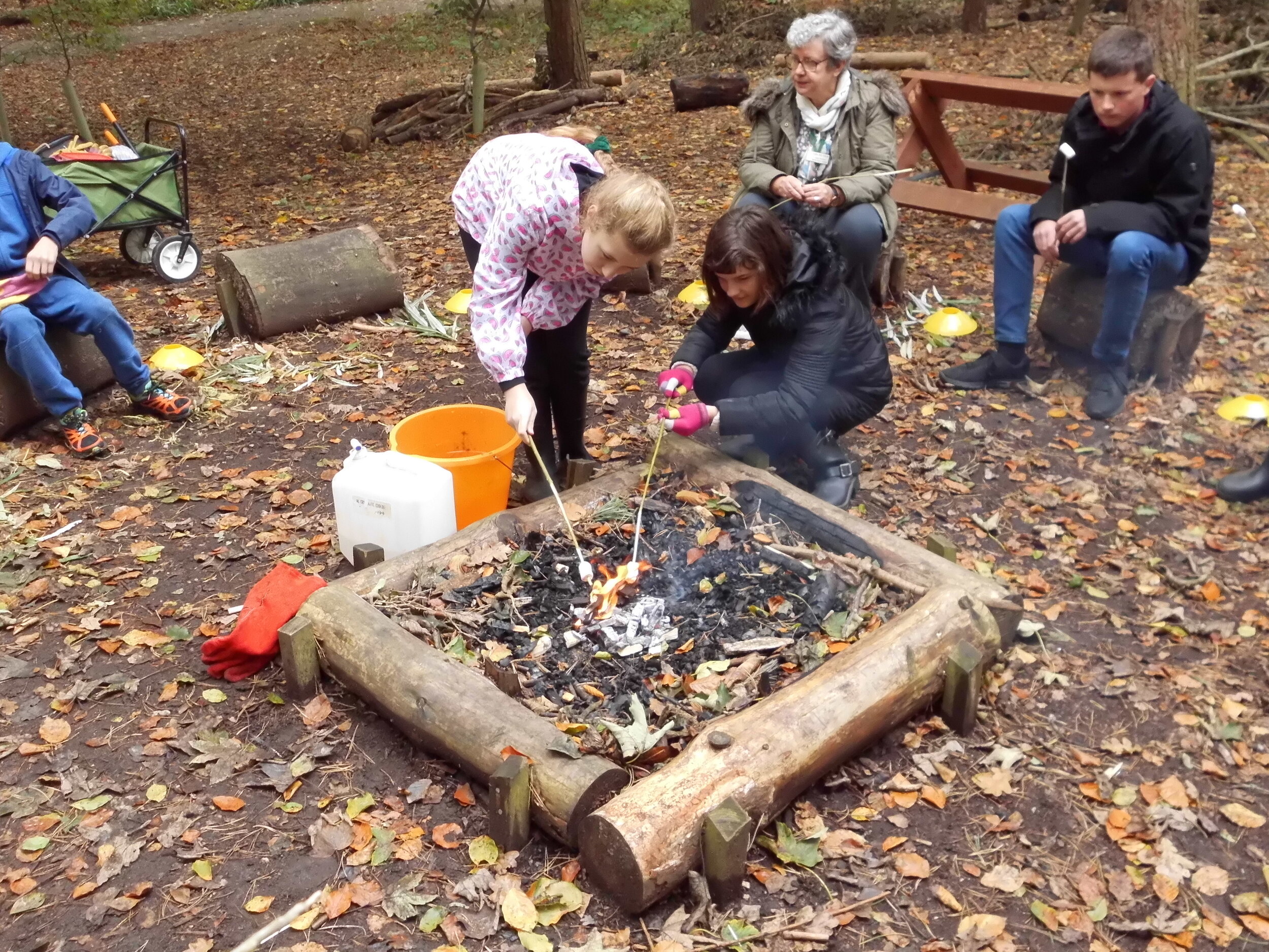 Welcome to Cedar Hall School