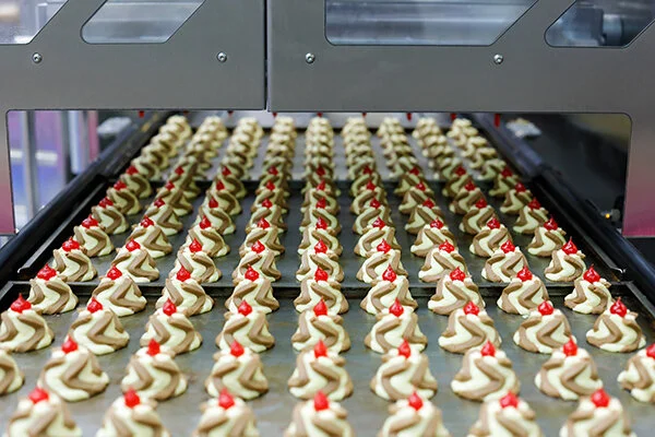 Food Processing Chiller Cooling Systems | Drake Chillers
