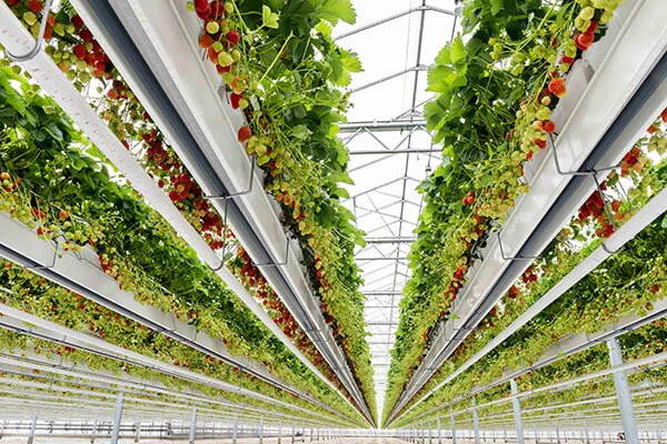 Refrigeration Chiller Cooling Systems | Drake Chillers