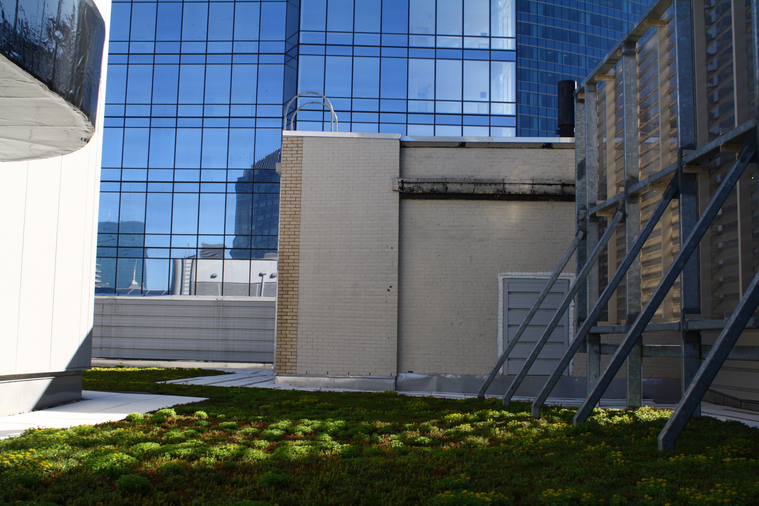 Burnham Building — Recover Green Roofs