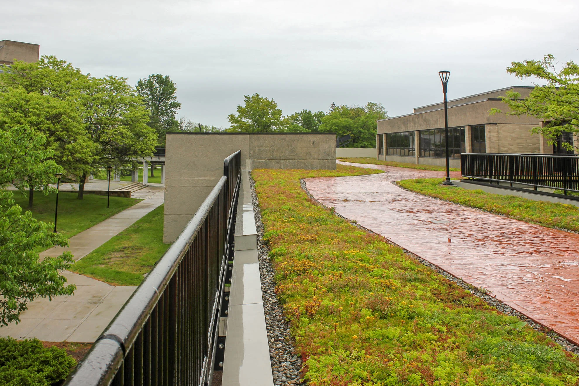 SUNY Plattsburgh — Recover Green Roofs