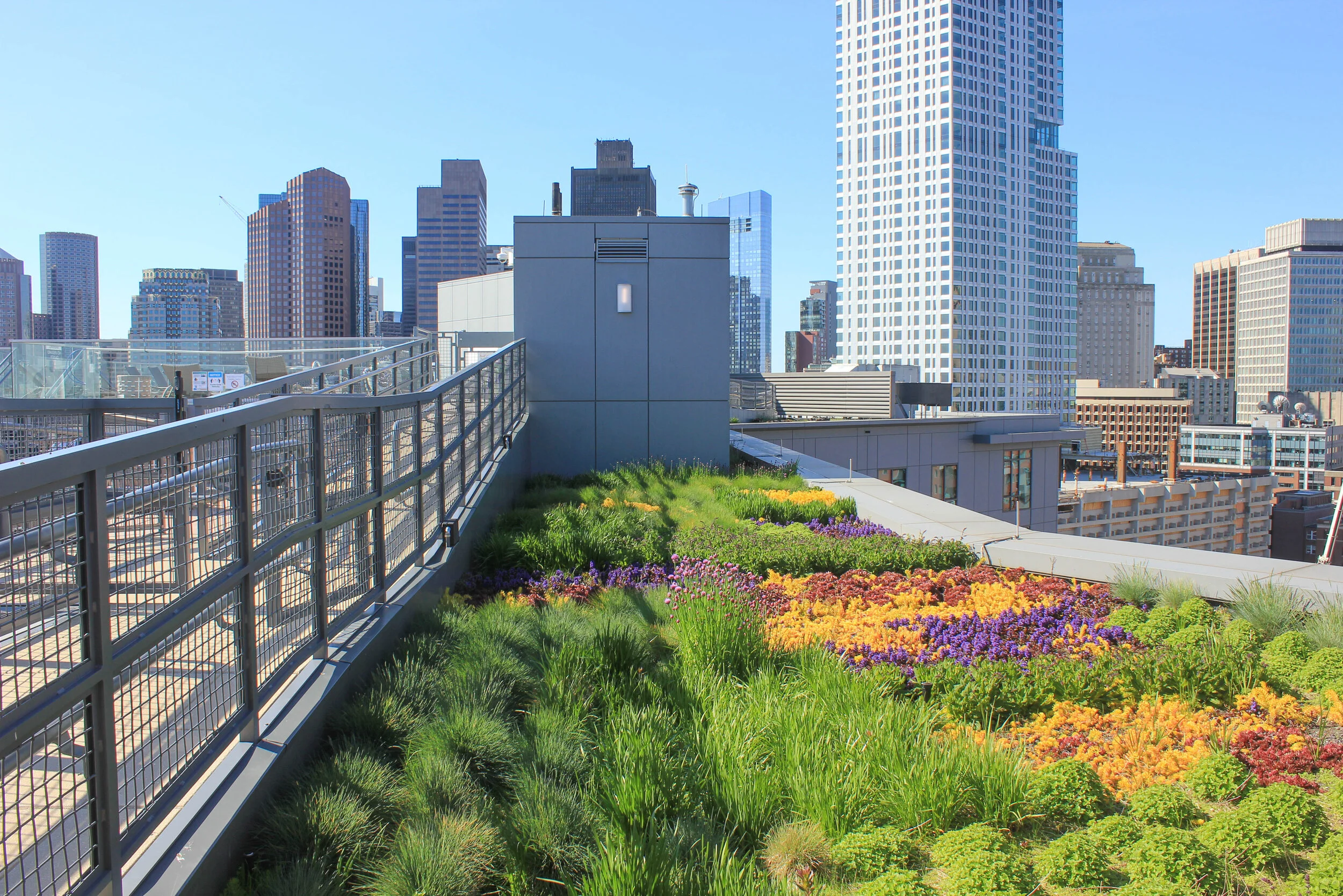 One Canal Apartments Green Roofs — Recover Green Roofs