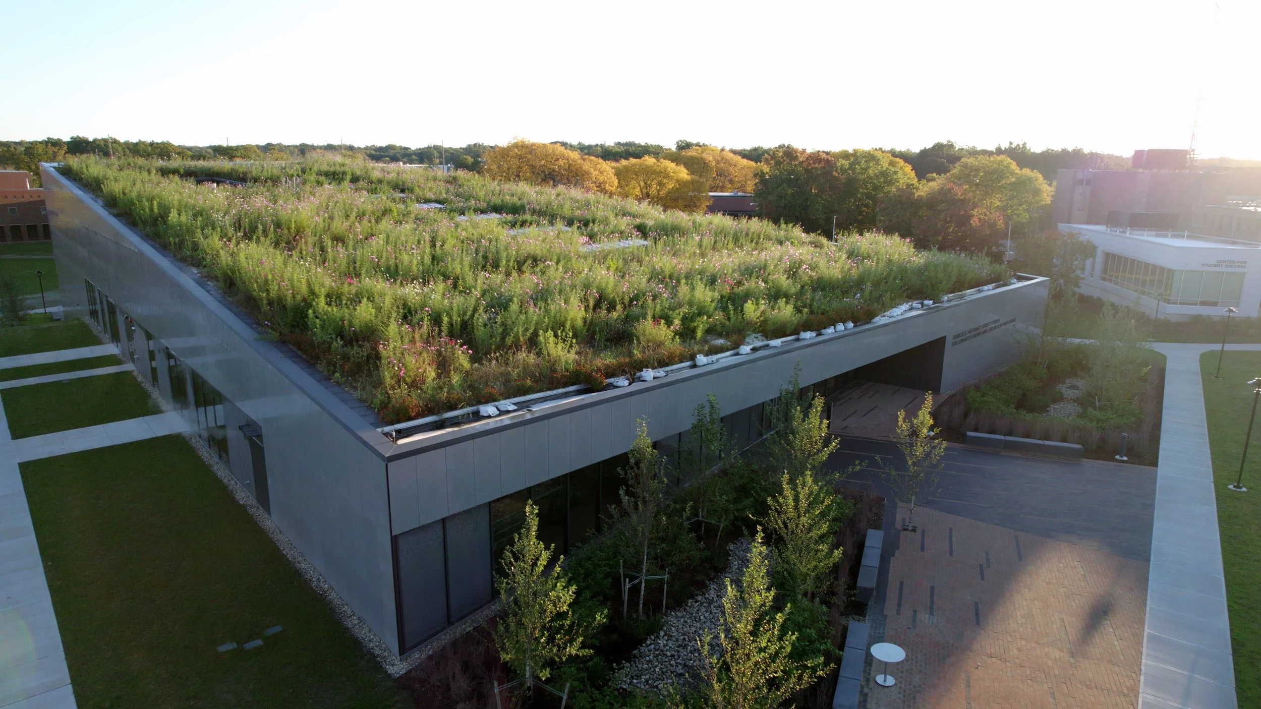Recover Green Roofs