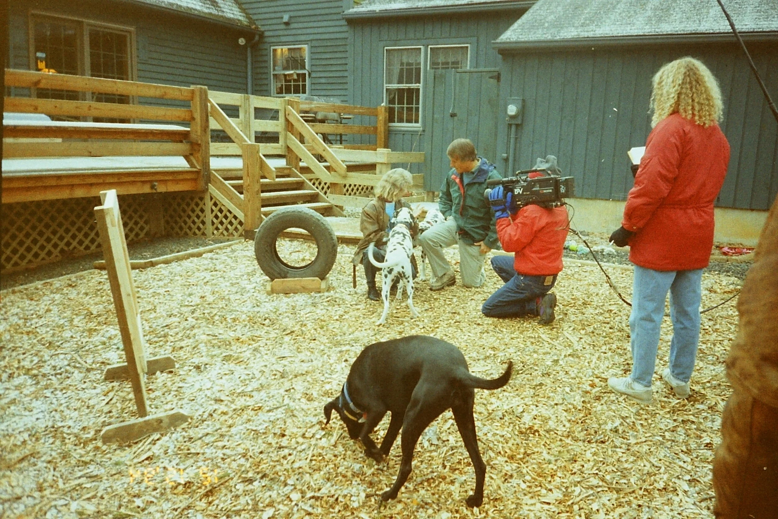 Connie Bombaci is the author of Hogan’s Hope, a deaf dog’s journey ...