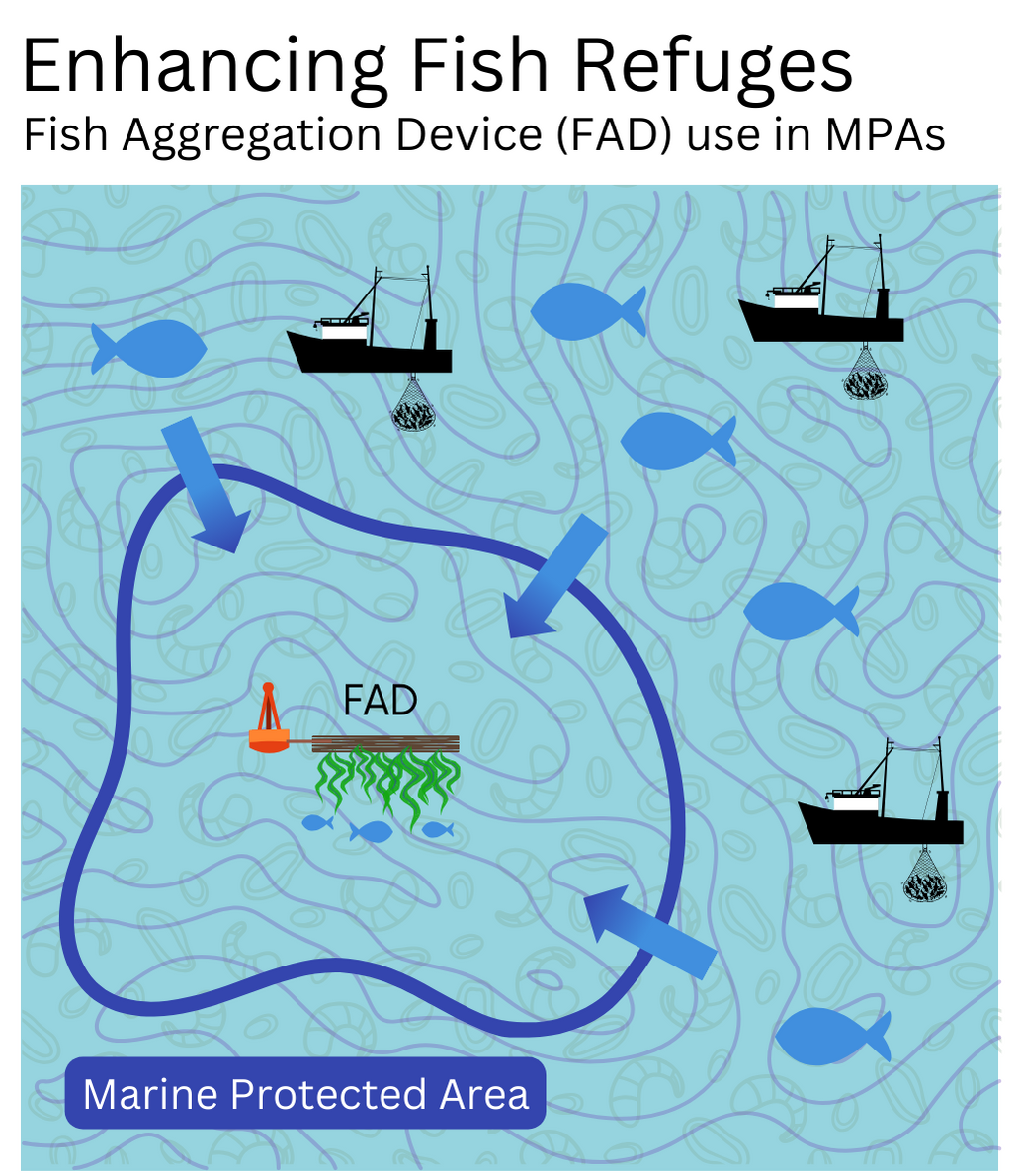 Newsletter 2023 — Park Institute of America