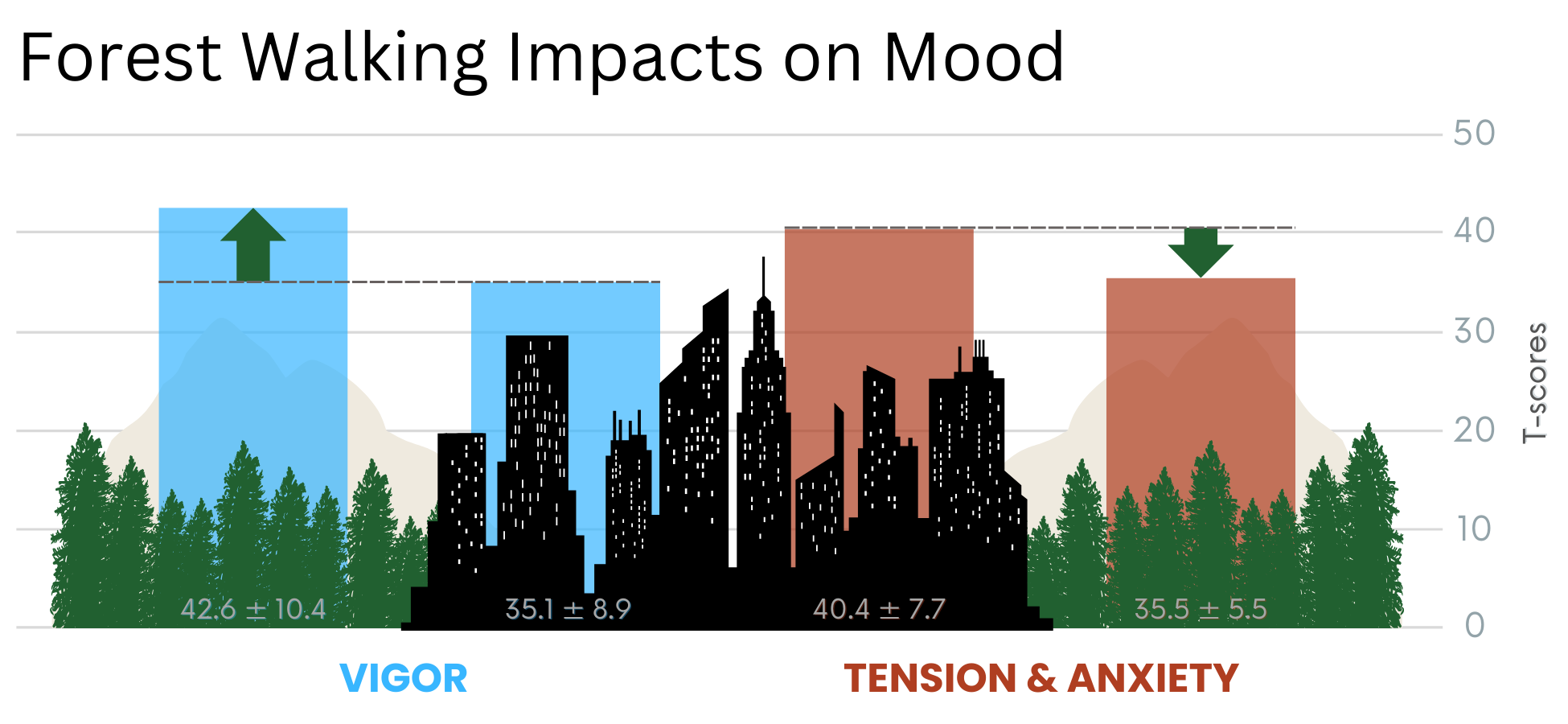Newsletter — Park Institute of America