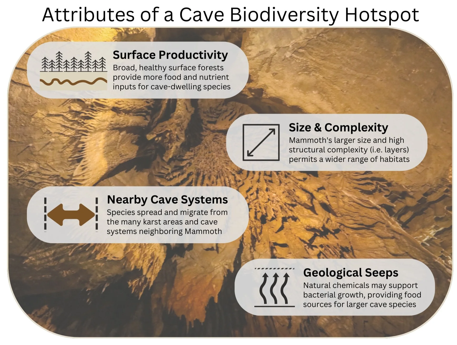 Newsletter — Park Institute of America