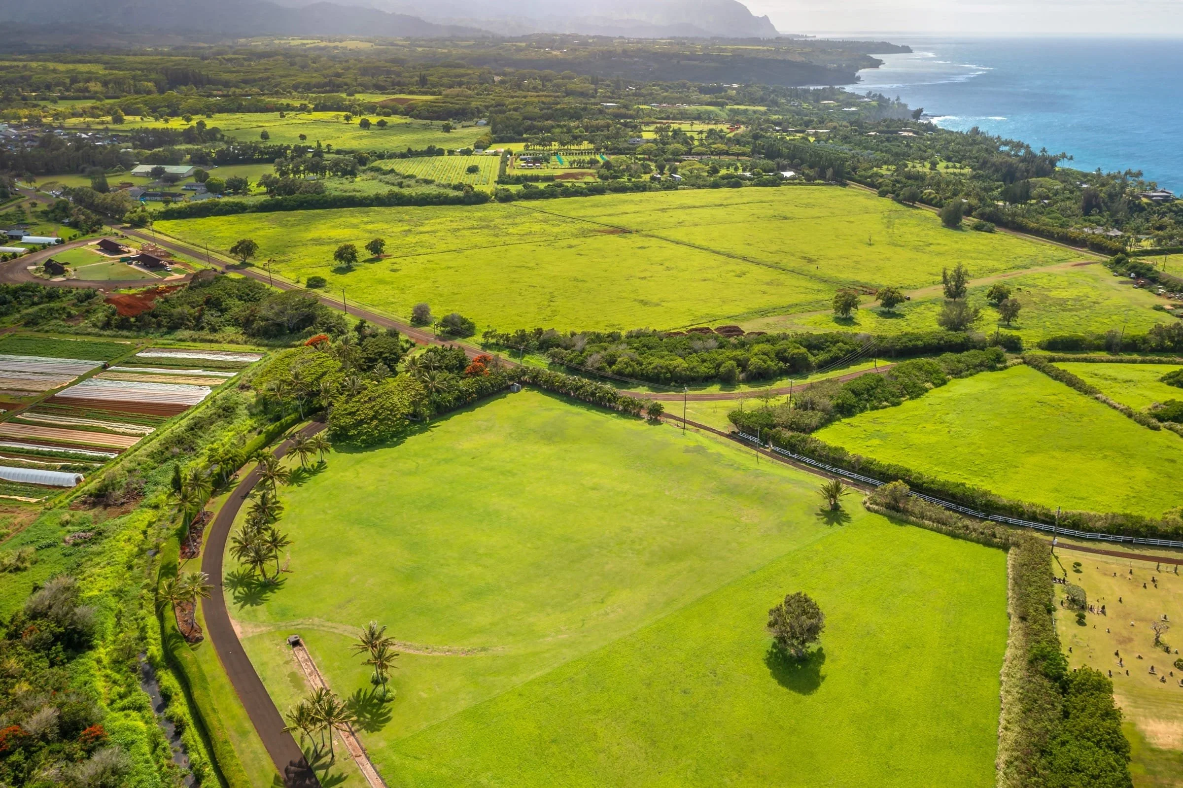 Kauai North Shore Agents: Iwalani Lane #5