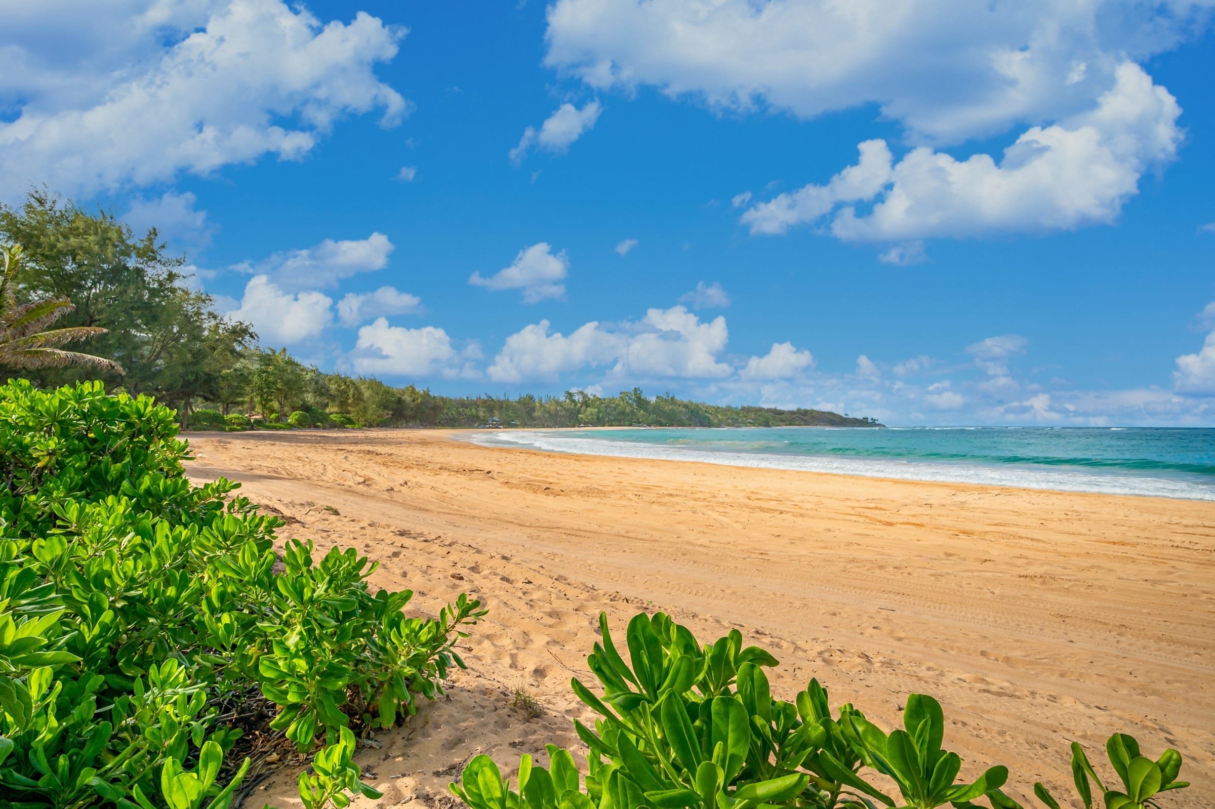 Kauai North Shore Agents: 4194 Pili Kai Road