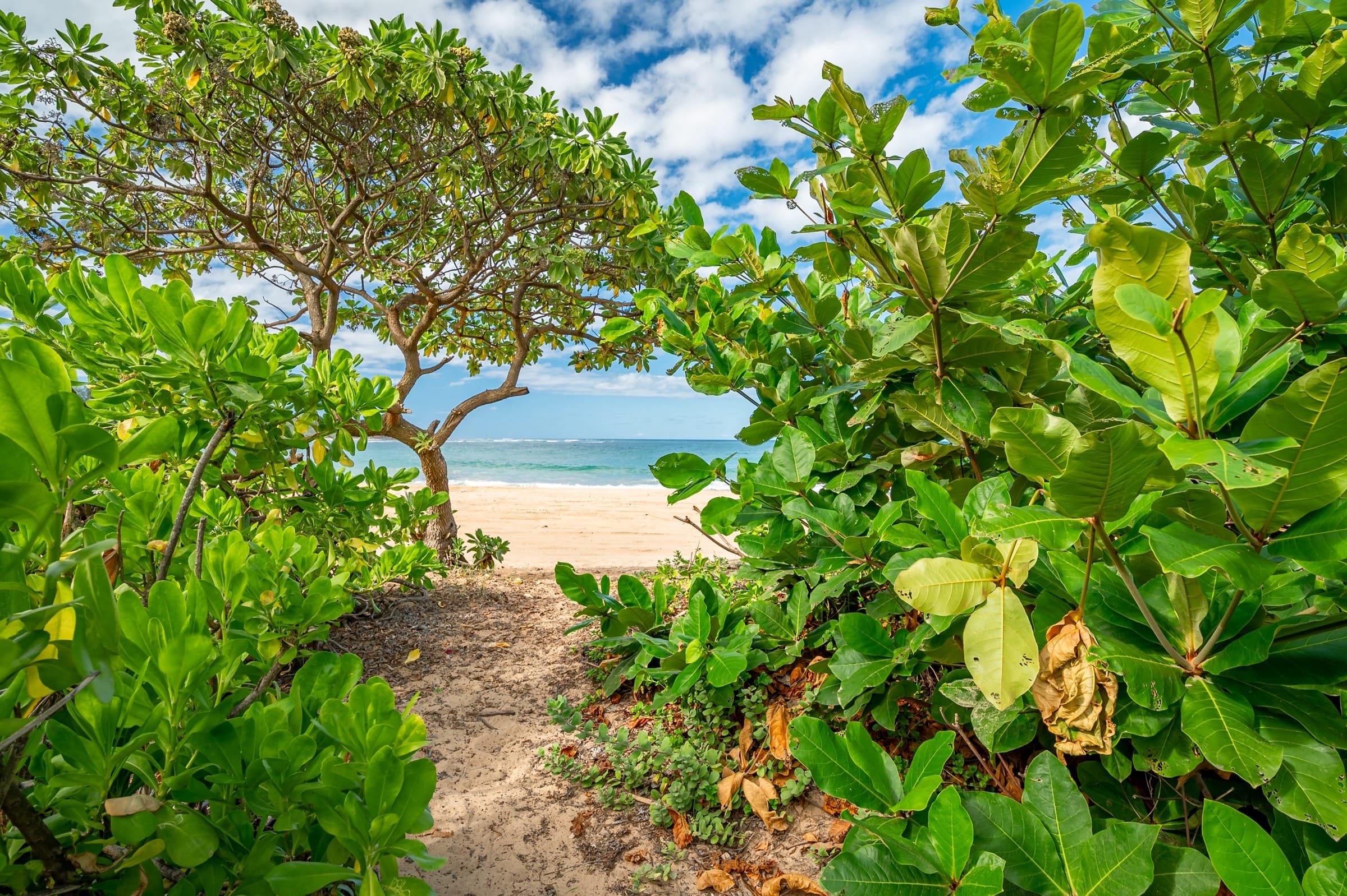 Kauai North Shore Agents: 4194 Pili Kai Road