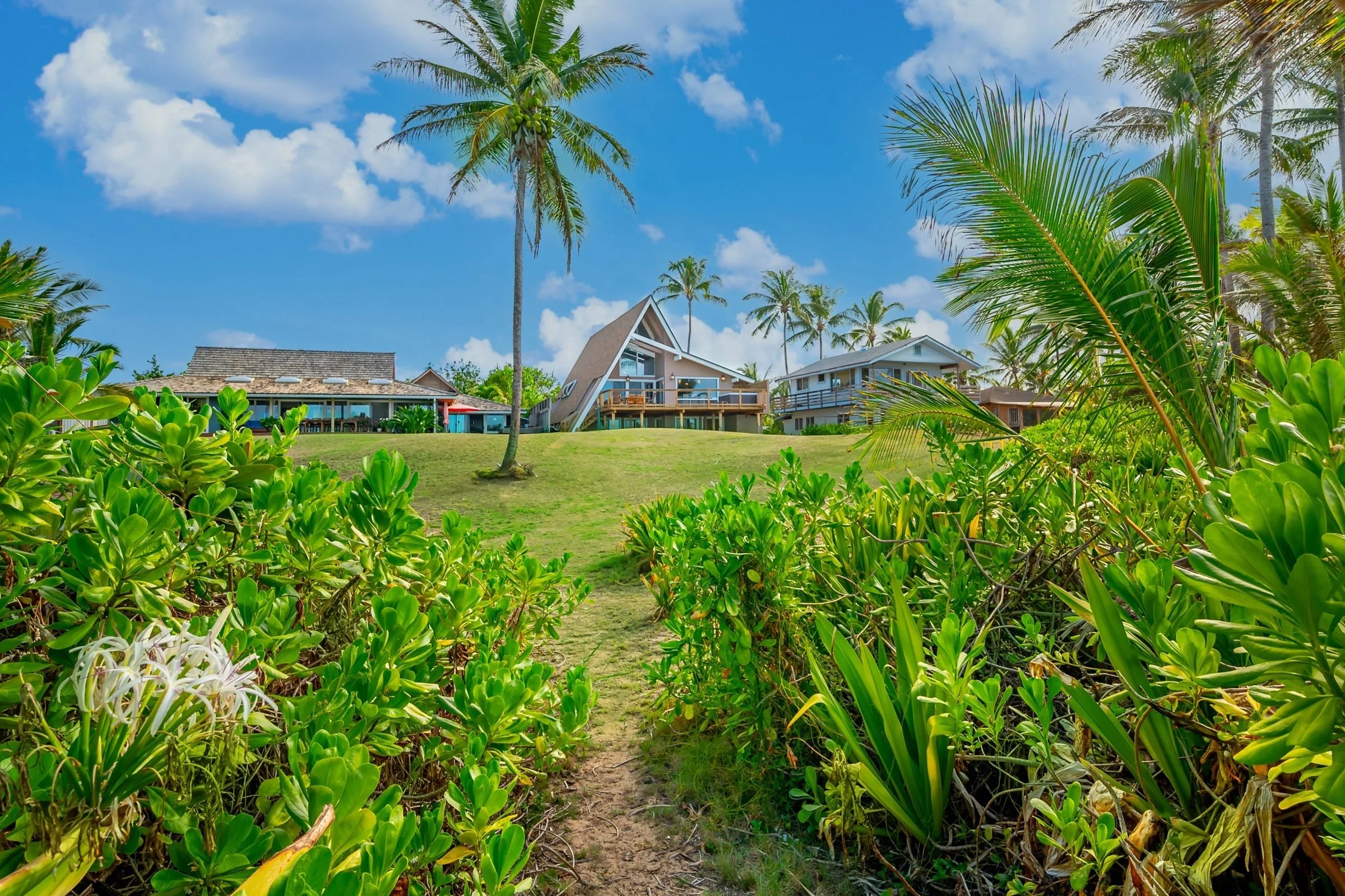 Kauai North Shore Agents: 4194 Pili Kai Road