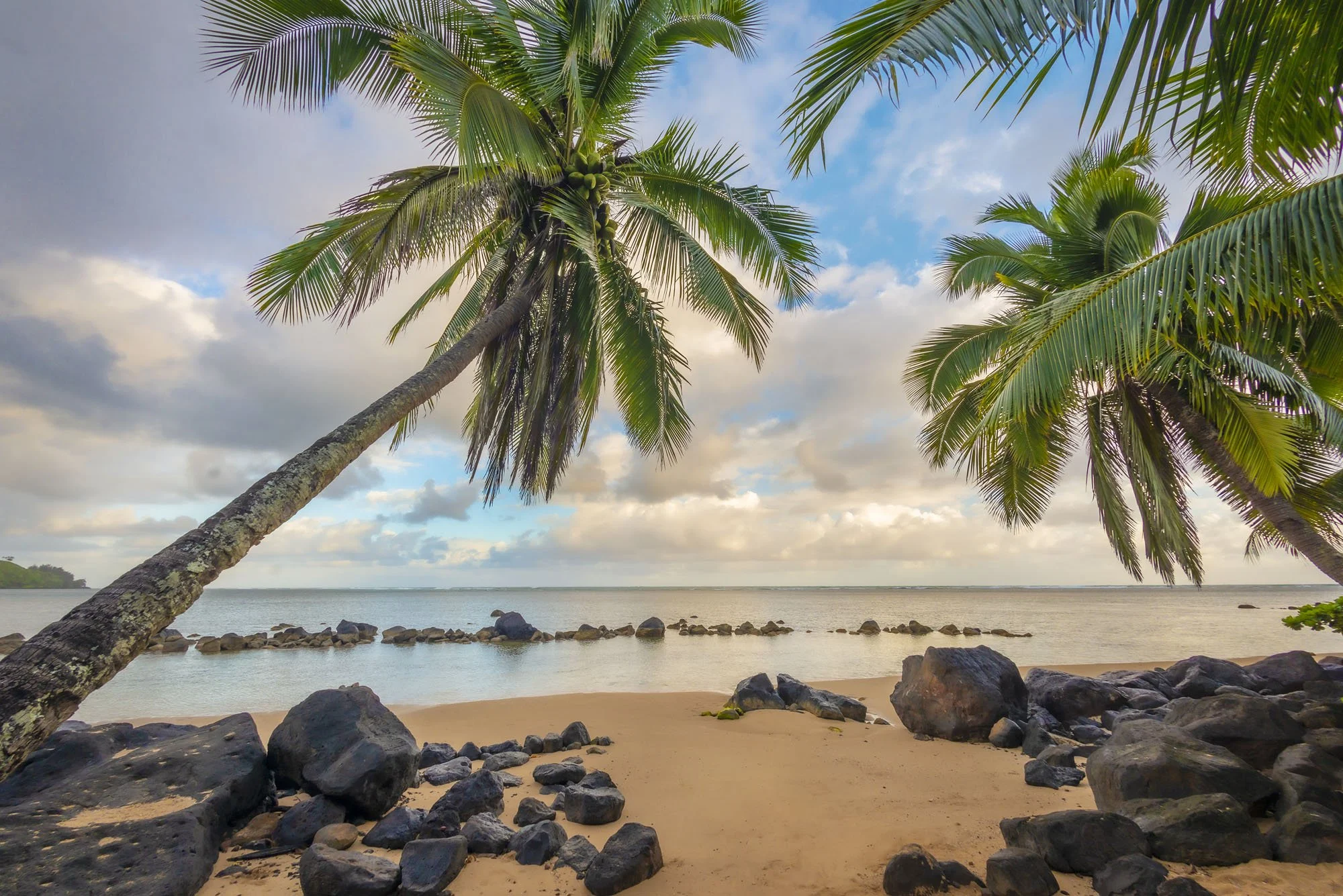 Kauai North Shore Agents: 3525 ANINI RD