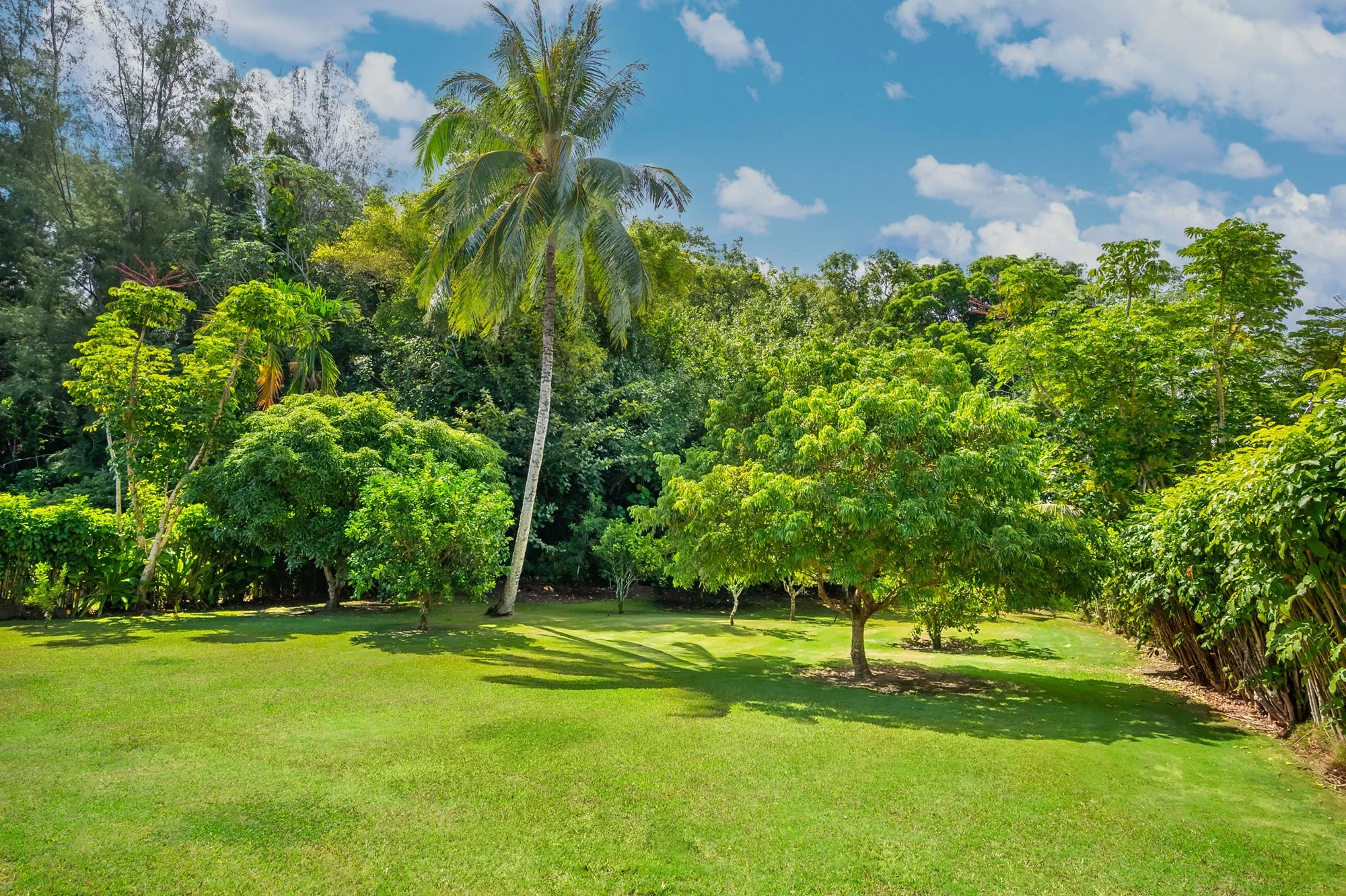 Kauai North Shore Agents: 3525 ANINI RD