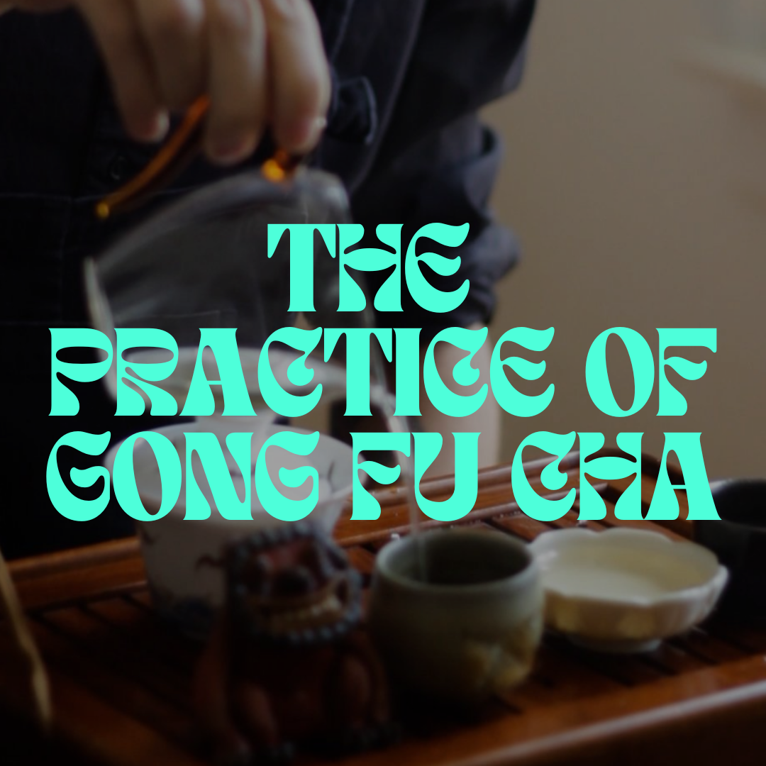 Workshops & Experiences — Firefly Fiber Arts Studio