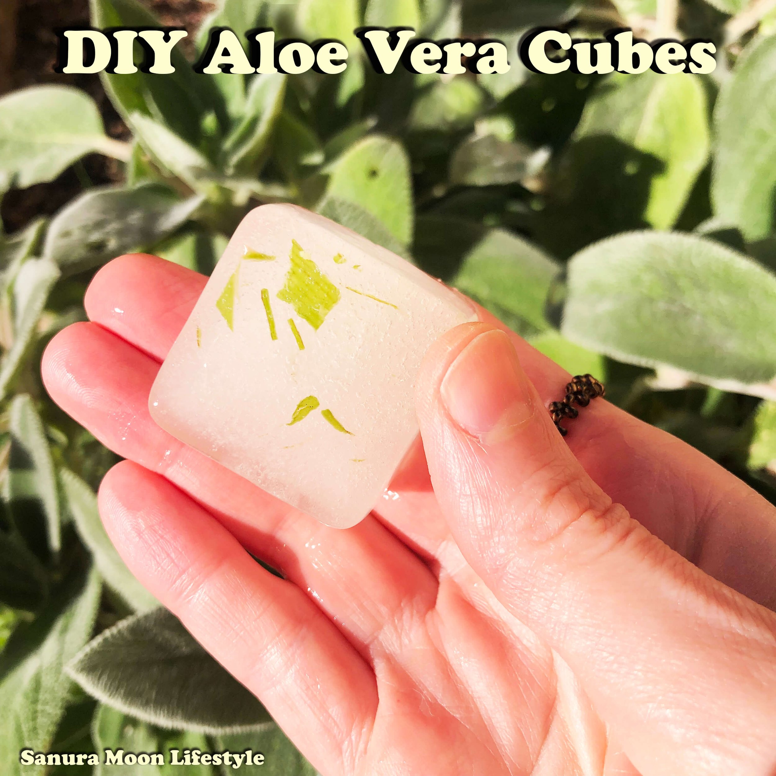 Diy Frozen Aloe Vera Cubes — Heart Collective