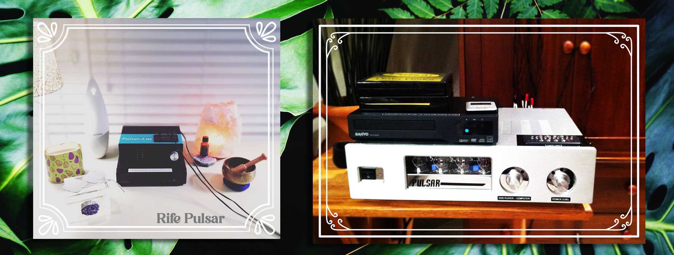 Royal Rife Frequency Healing — Heart Collective