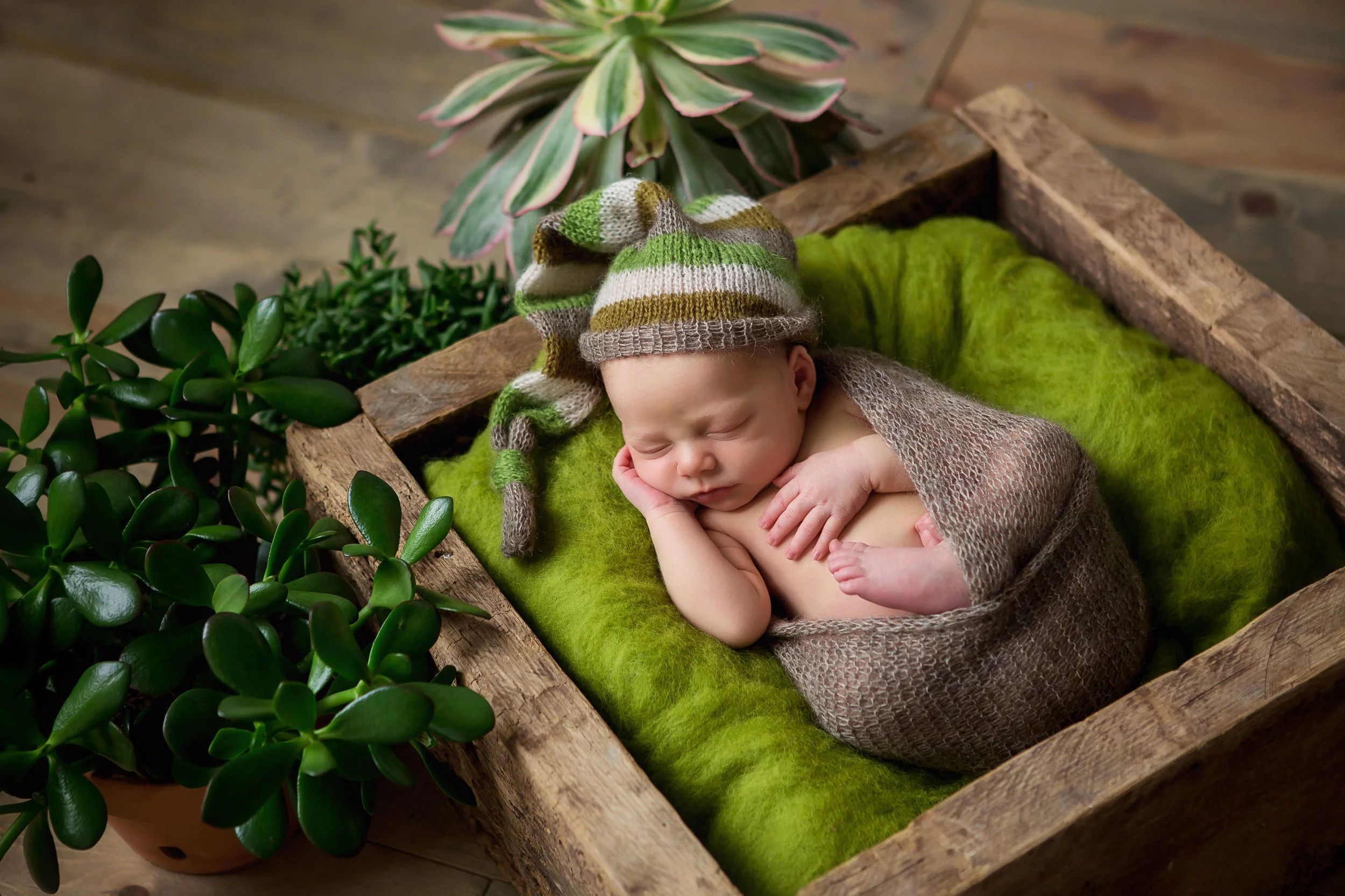 Studio Phrene | Grand Rapids Lifestyle and Newborn Photography