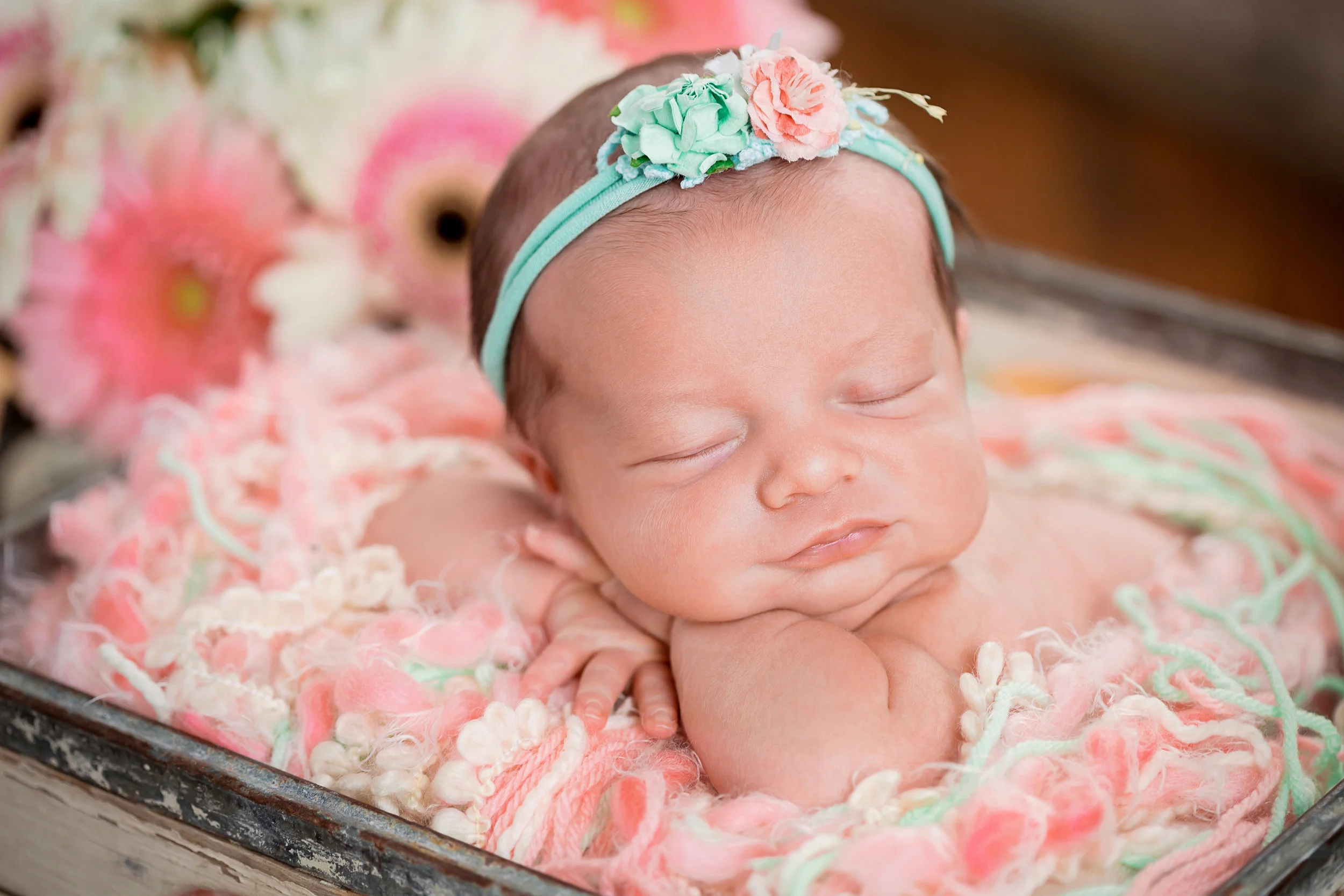 Studio Phrene | Grand Rapids Lifestyle and Newborn Photography