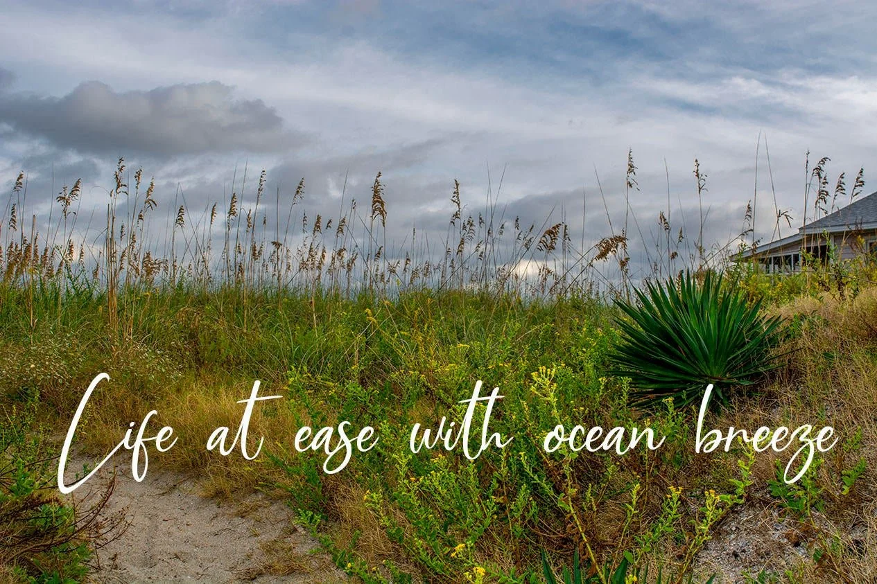 Edisto Island Real Estate