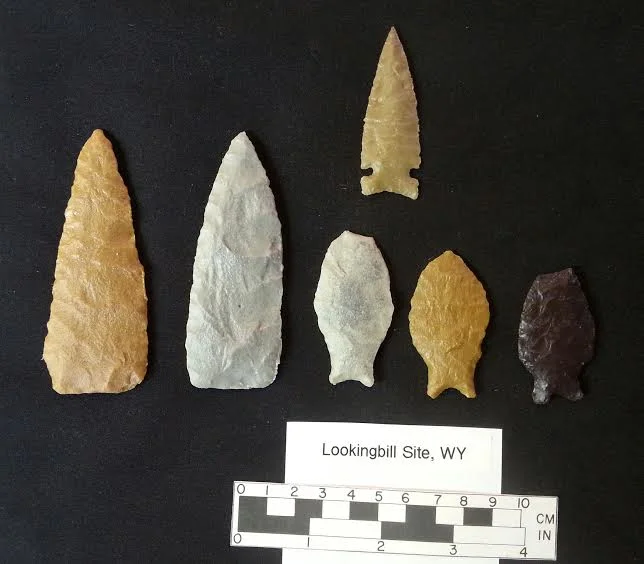 Shop — Mammoth Run Lithic Casting