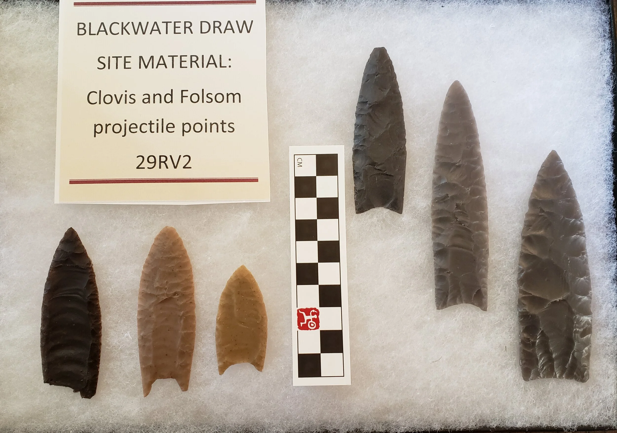 Shop — Mammoth Run Lithic Casting