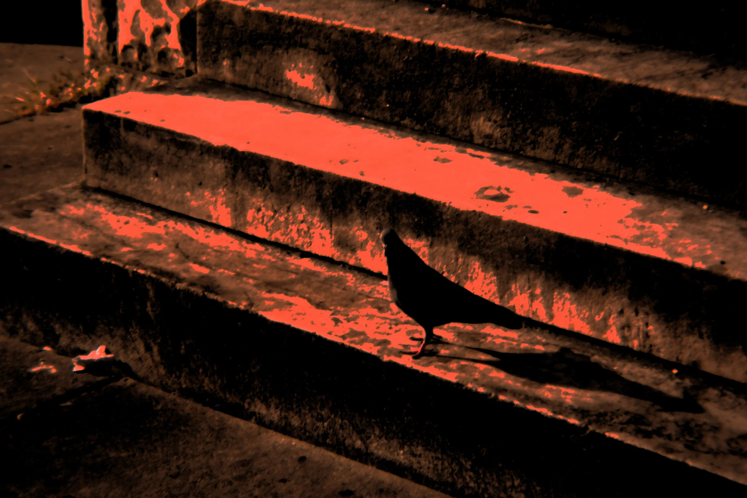 Experimental Photography Gallery — BYFABaltimore Youth Film Arts.