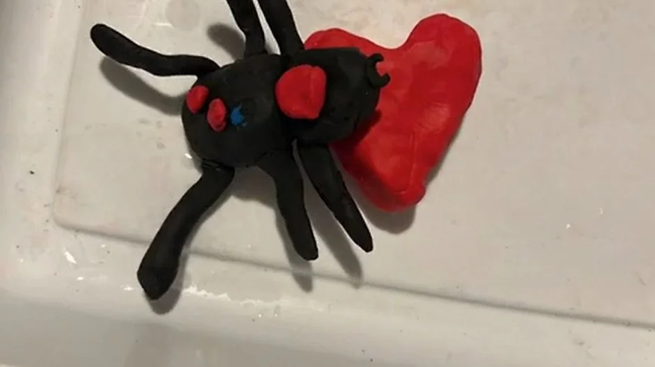 BYFA Baltimore Youth Film Arts Program.