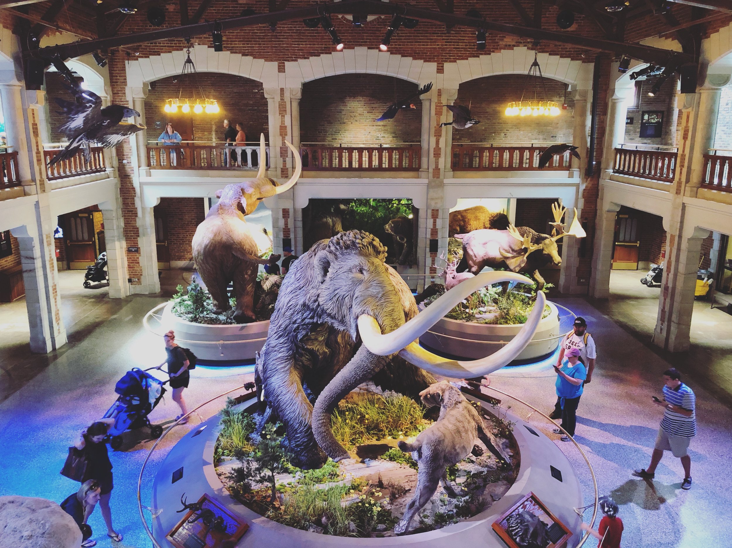 Toledo Zoo Ohio History